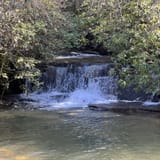 Raven Rock Loop Trail, South Carolina - 2,178 Reviews, Map | AllTrails