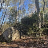 Raven Rock Loop Trail, South Carolina - 2,178 Reviews, Map | AllTrails