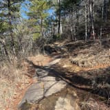 Raven Rock Loop Trail, South Carolina - 2,178 Reviews, Map | AllTrails