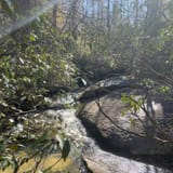 Raven Rock Loop Trail, South Carolina - 2,178 Reviews, Map | AllTrails
