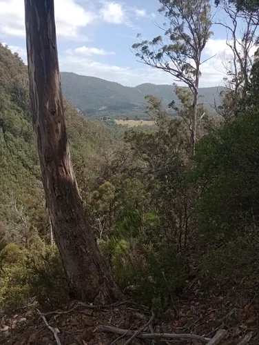 Best Hikes and Trails in Snug Tiers Nature Recreation Area | AllTrails