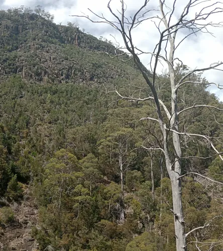 Best Hikes and Trails in Snug Tiers Nature Recreation Area | AllTrails