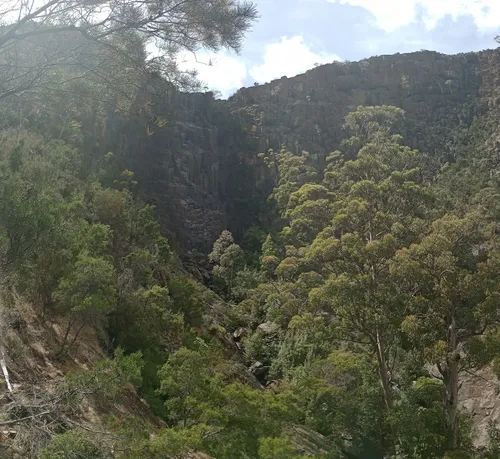 Best Hikes and Trails in Snug Tiers Nature Recreation Area | AllTrails