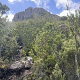 Mount Wedge Summit Track, Tasmania, Australia - 66 Reviews, Map | AllTrails
