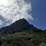 Mount Wedge Summit Track, Tasmania, Australia - 66 Reviews, Map | AllTrails