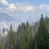 Boole Tree Loop, California - 194 Reviews, Map | AllTrails