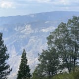 Boole Tree Loop, California - 194 Reviews, Map | AllTrails