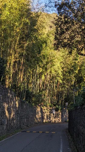 Best Historic Site Trails in Vaglia | AllTrails