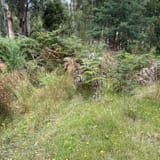 Coranderrk and Lyrebyrd Tracks, Victoria, Australia - 52 Reviews, Map ...