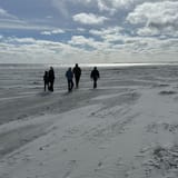 Dungeness Loop Trail, Georgia - 521 Reviews, Map | AllTrails