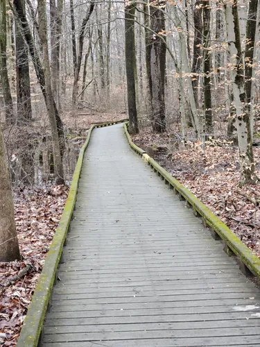 Best Hikes and Trails in Great Swamp National Wildlife Refuge | AllTrails