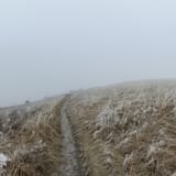 Max Patch Loop, North Carolina - 2,073 Reviews, Map | AllTrails