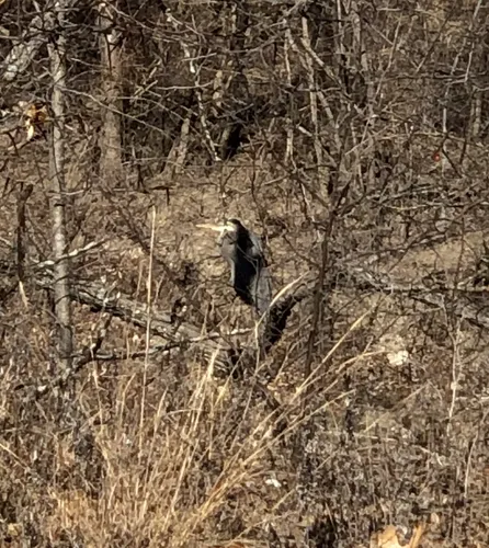 Best Hikes and Trails in Limestone Quarry Park | AllTrails