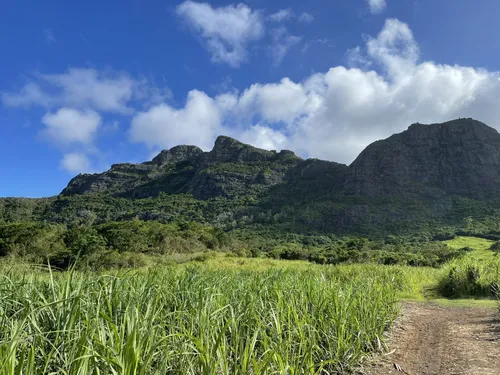 Best Hikes and Trails in Vacoas-Phoenix | AllTrails