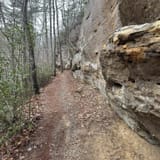 Sky Bridge Trail, Kentucky - 2,266 Reviews, Map | AllTrails