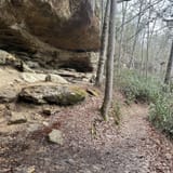Sky Bridge Trail, Kentucky - 2,266 Reviews, Map | AllTrails