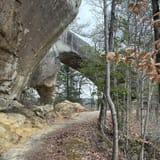 Sky Bridge Trail, Kentucky - 2,266 Reviews, Map | AllTrails