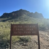 Yetman Trail and Peak View Trail, Arizona - 261 Reviews, Map | AllTrails