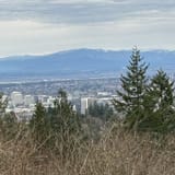 Council Crest via Marquam Trail, Oregon - 1,918 Reviews, Map | AllTrails