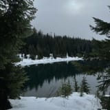 Gold Creek Pond Loop, Washington - 2,504 Reviews, Map | AllTrails