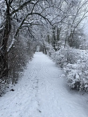 Best Hikes and Trails in George V Vanderbilt Town Park | AllTrails