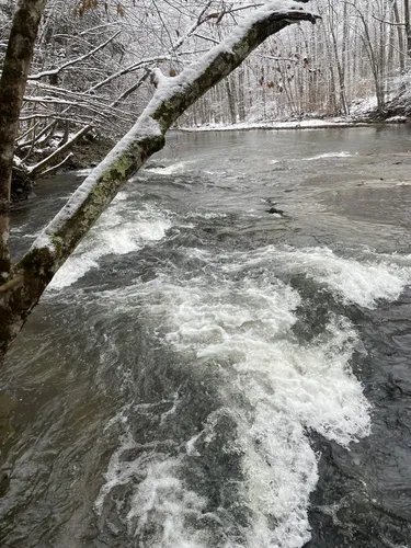Best Hikes and Trails in George V Vanderbilt Town Park | AllTrails