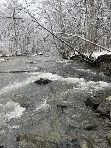 Best Hikes and Trails in George V Vanderbilt Town Park | AllTrails
