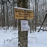 Killington Peak via Bucklin Trail, Vermont - 1,831 Reviews, Map | AllTrails