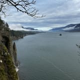 Cape Horn Loop Trail, Washington - 4,281 Reviews, Map | AllTrails