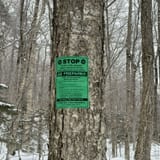 Mount Lafayette and Franconia Ridge Trail Loop, New Hampshire - 12,424 ...
