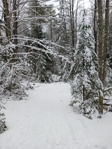 Best Hikes and Trails in Fuller Farm Preserve | AllTrails