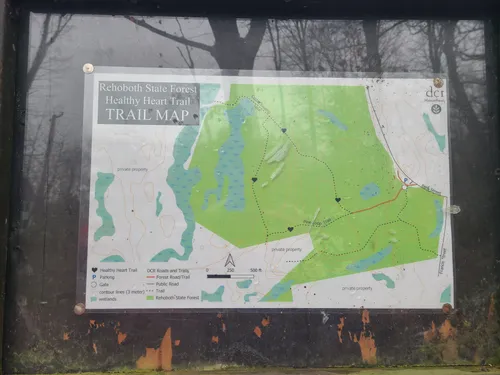 Best Hikes and Trails in Rehoboth State Forest | AllTrails