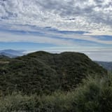 Cold Spring Loop, California - 2,110 Reviews, Map | AllTrails