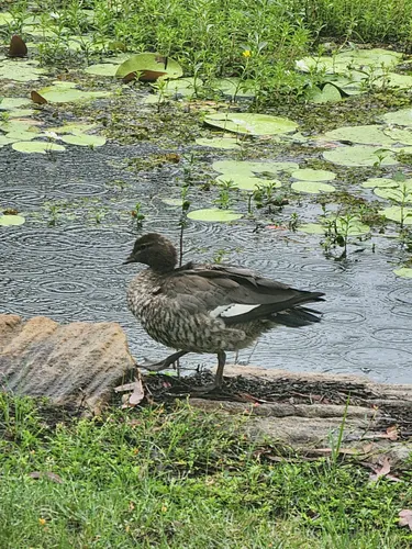 Best Hikes and Trails in Spring Lake Park | AllTrails