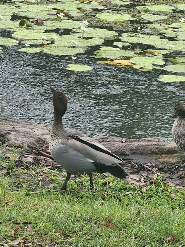 Best Hikes and Trails in Spring Lake Park | AllTrails