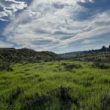 Lewis Eaton and Tom Macmichael Loop Trail , California - 233 Reviews ...