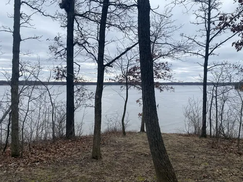 Best Forest Trails in Sullivan | AllTrails