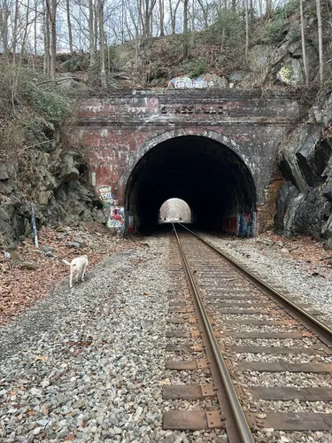 Best Hikes and Trails in Hugg-Thomas Wildlife Mgmt Area | AllTrails