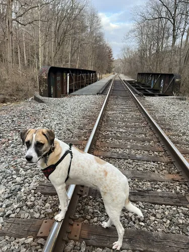 Best Hikes and Trails in Hugg-Thomas Wildlife Mgmt Area | AllTrails