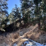 Horsetooth Falls Loop Trail, Colorado - 2,200 Reviews, Map | AllTrails