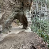 Hidden Arch Trail, Kentucky - 1,081 Reviews, Map | AllTrails