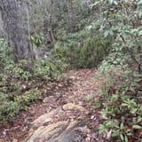 Hidden Arch Trail, Kentucky - 1,081 Reviews, Map | AllTrails