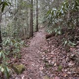 Hidden Arch Trail, Kentucky - 1,081 Reviews, Map | AllTrails