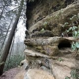Hidden Arch Trail, Kentucky - 1,081 Reviews, Map | AllTrails