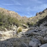 Pima Canyon Trail, Arizona - 2,511 Reviews, Map | AllTrails