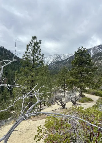 Best Hikes and Trails in Sheridan | AllTrails