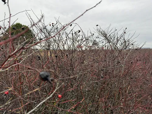 Best Hikes and Trails in Point No Point Lighthouse and Park | AllTrails