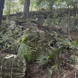 Waitomo Walkway, Waikato, New Zealand - 67 Reviews, Map | AllTrails