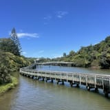 Orakei Basin Walkway, Auckland, New Zealand - 360 Reviews, Map | AllTrails
