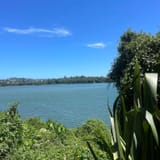 Orakei Basin Walkway, Auckland, New Zealand - 360 Reviews, Map | AllTrails
